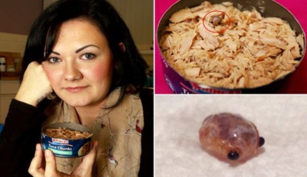 Mom Opened Up a Can of Tuna THEN She Saw Something Staring Right Back ...